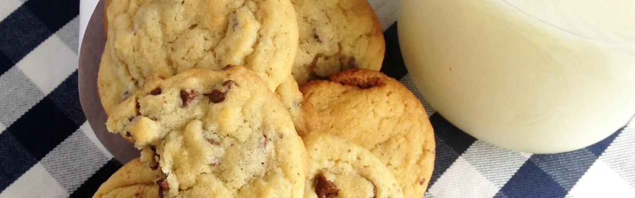 Iowa State Fair Mini Chocolate Chip Cookies (Copycat Recipe) | The ...