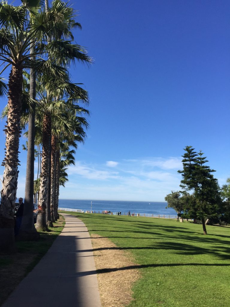 Welcome to Sunny California! | The Gingham Apron