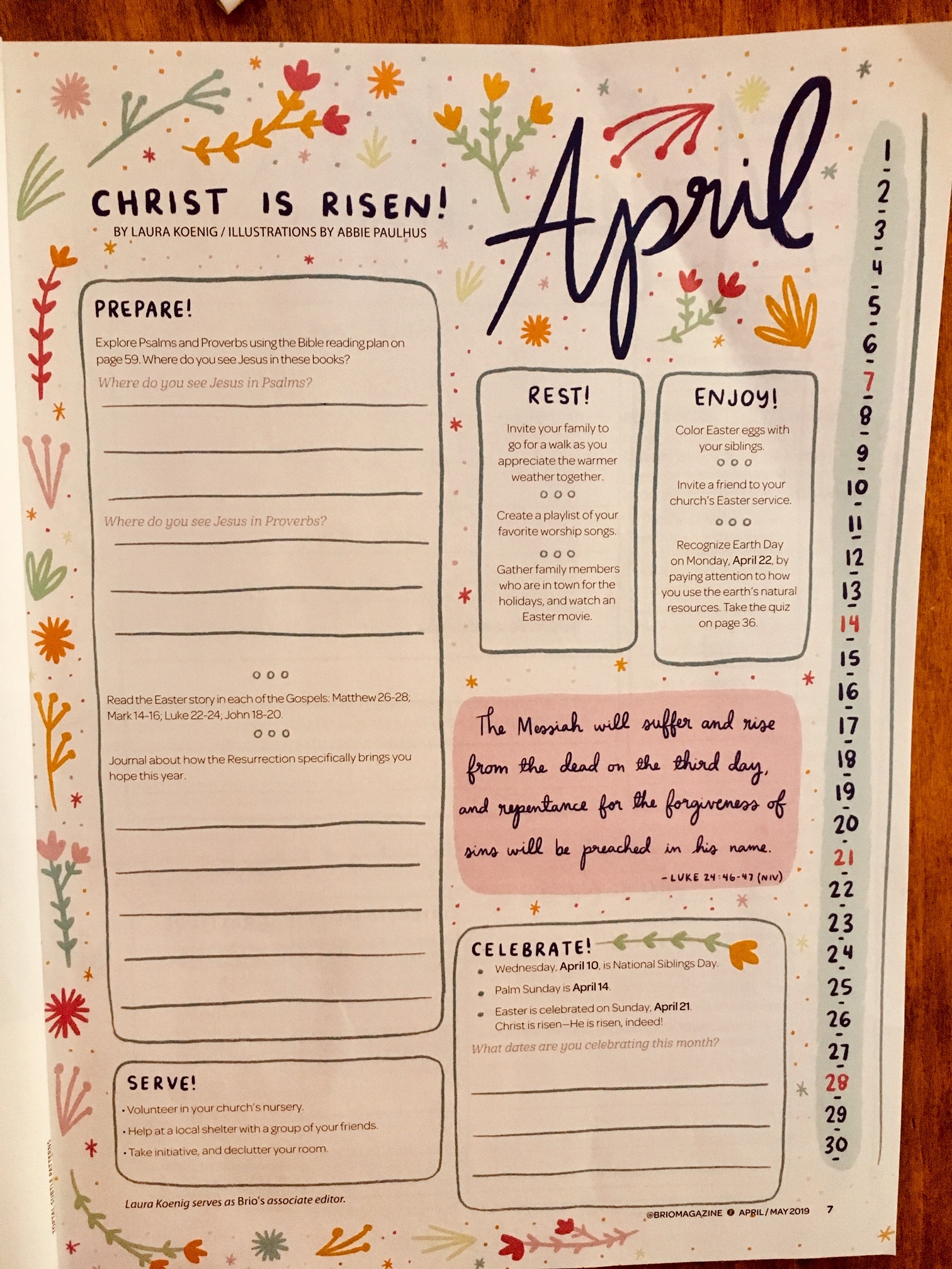 Brio Magazine | The Gingham Apron