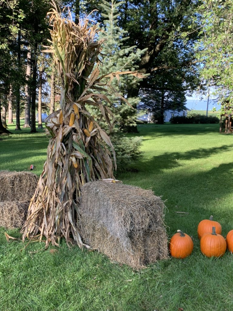 Making a Corn Shock | The Gingham Apron
