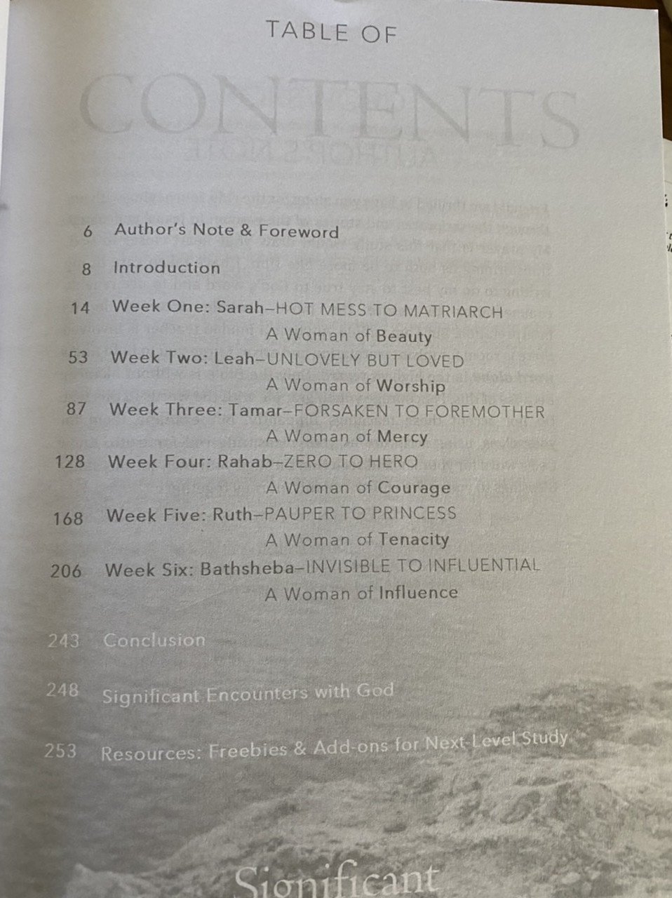 Significant by Rachel Risner (and a giveaway!) | The Gingham Apron